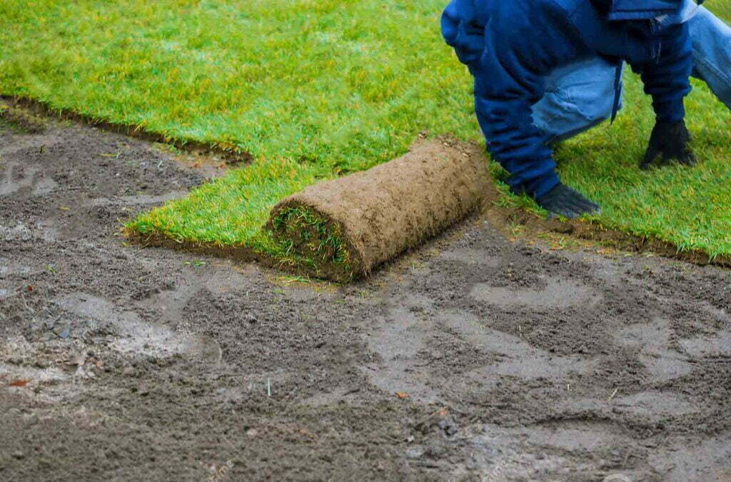 Natural Grass Turf – Clean My Land | Plots | Grass Cutting | Debris ...